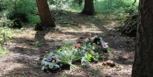 Green vs Natural Burials: What’s the Difference? - A Greener Funeral