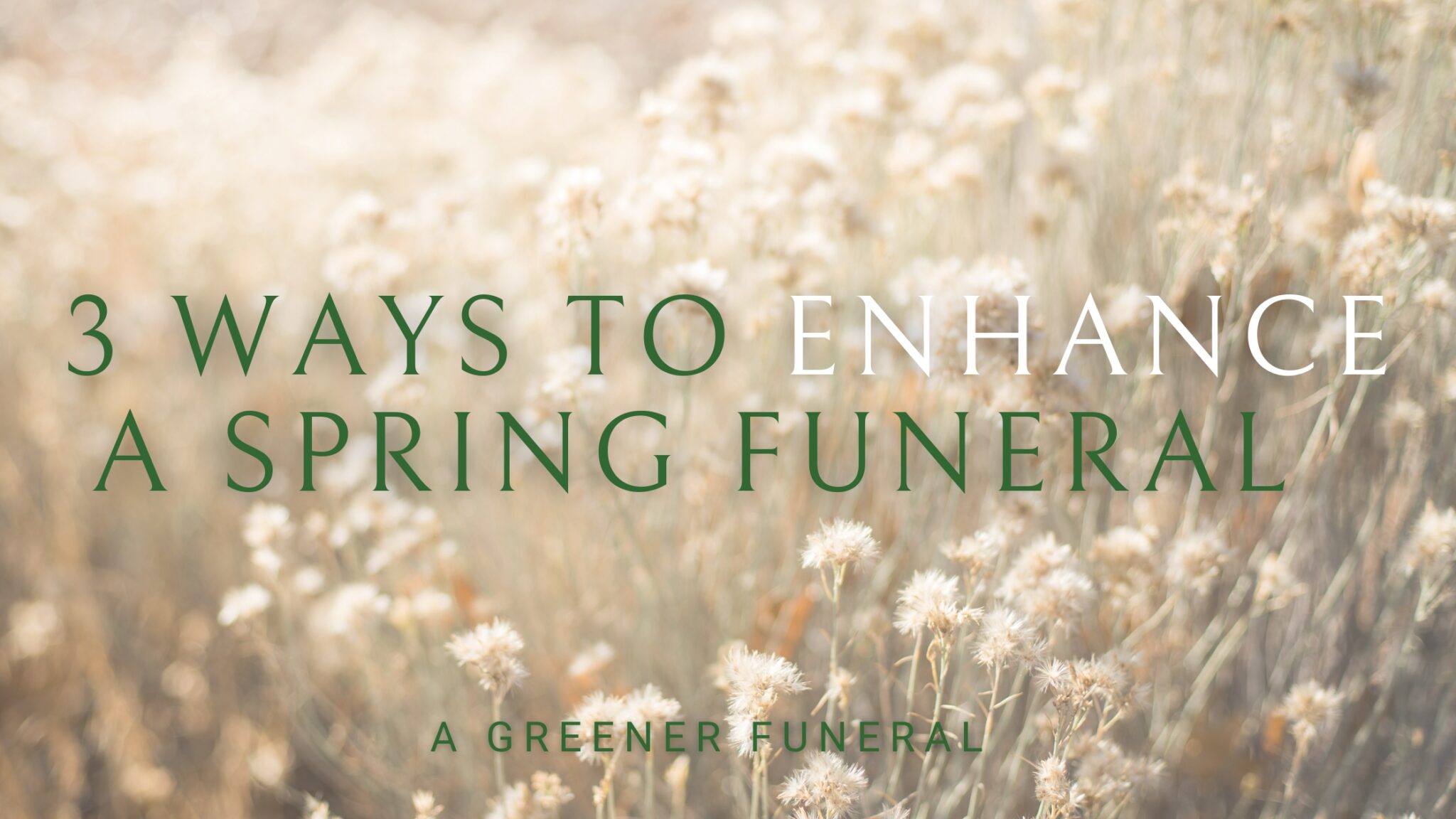 3 Fresh Ideas for a Spring Funeral - A Greener Funeral